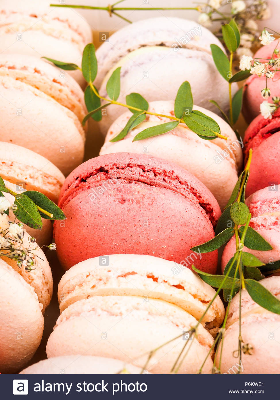 Macarons Background. Download Wallpapers on WallpaperSafari