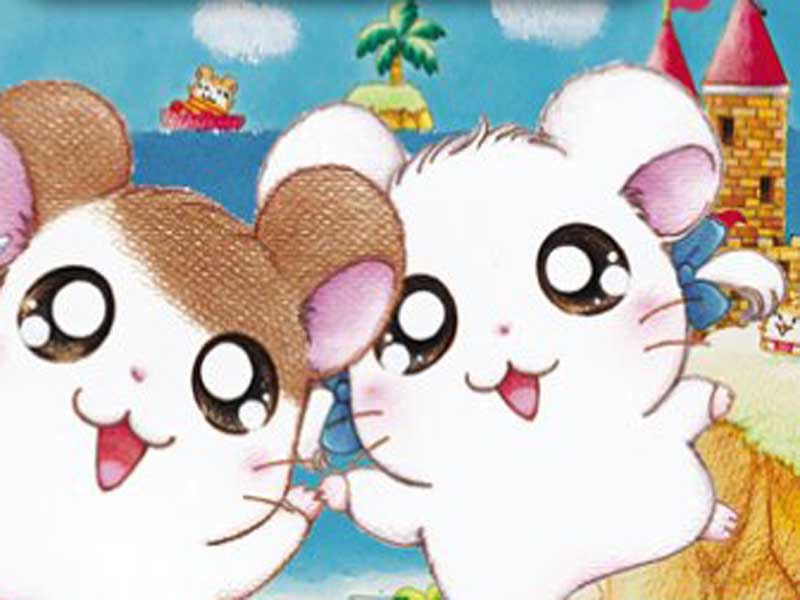 Free download Hamtaro Wallpaper Gallery [800x600] for your Desktop ...