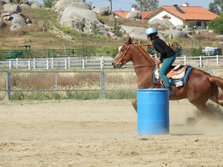 Free download Barrel Racing With Twinkie Horses Photo 18744544 [720x540 ...