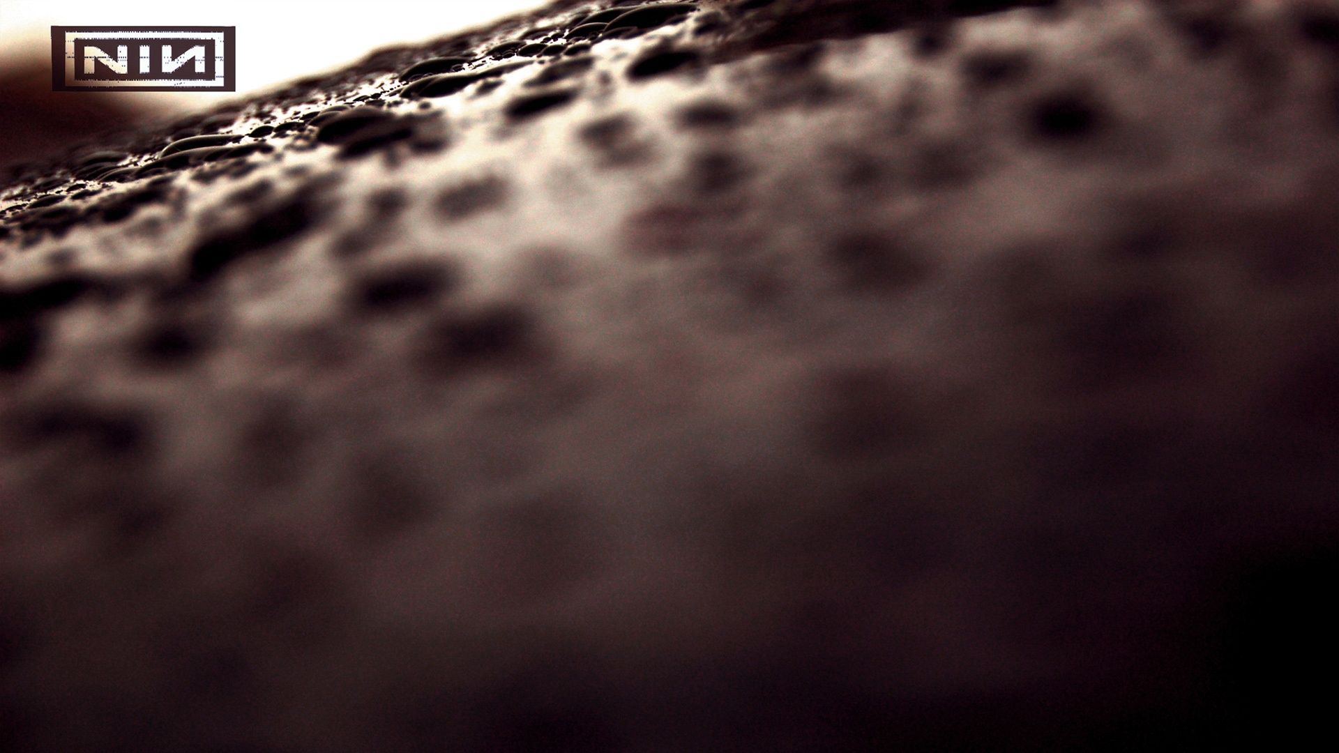 Free download Nin Backgrounds [1920x1080] for your Desktop, Mobile ...