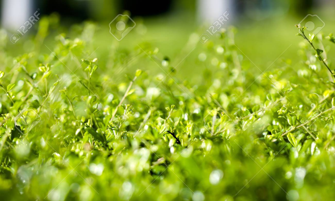 Refreshing Background. Download Wallpapers on WallpaperSafari