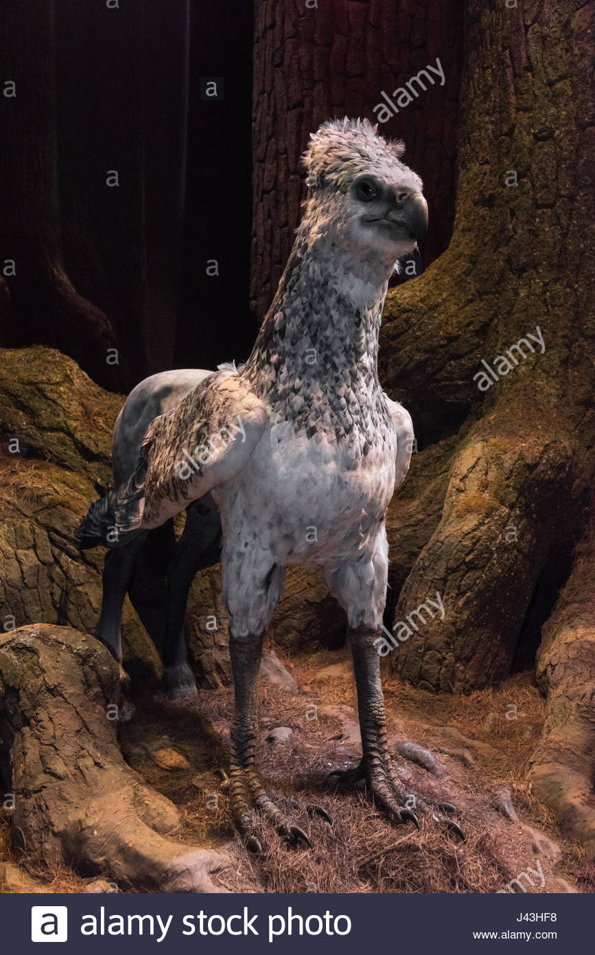 Buckbeak Wallpaper. Download Wallpapers on WallpaperSafari