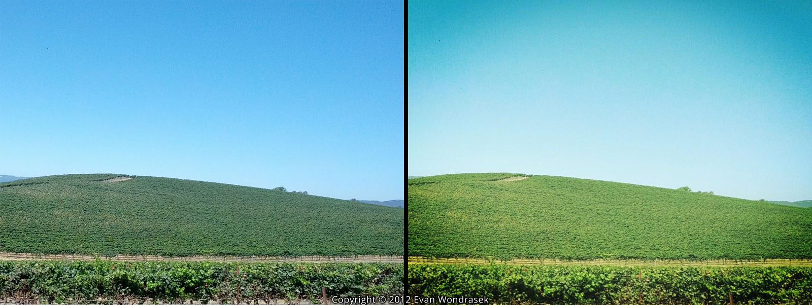 Free download Windows Xp Wallpaper Hill Windows xp bliss wallpaper ...